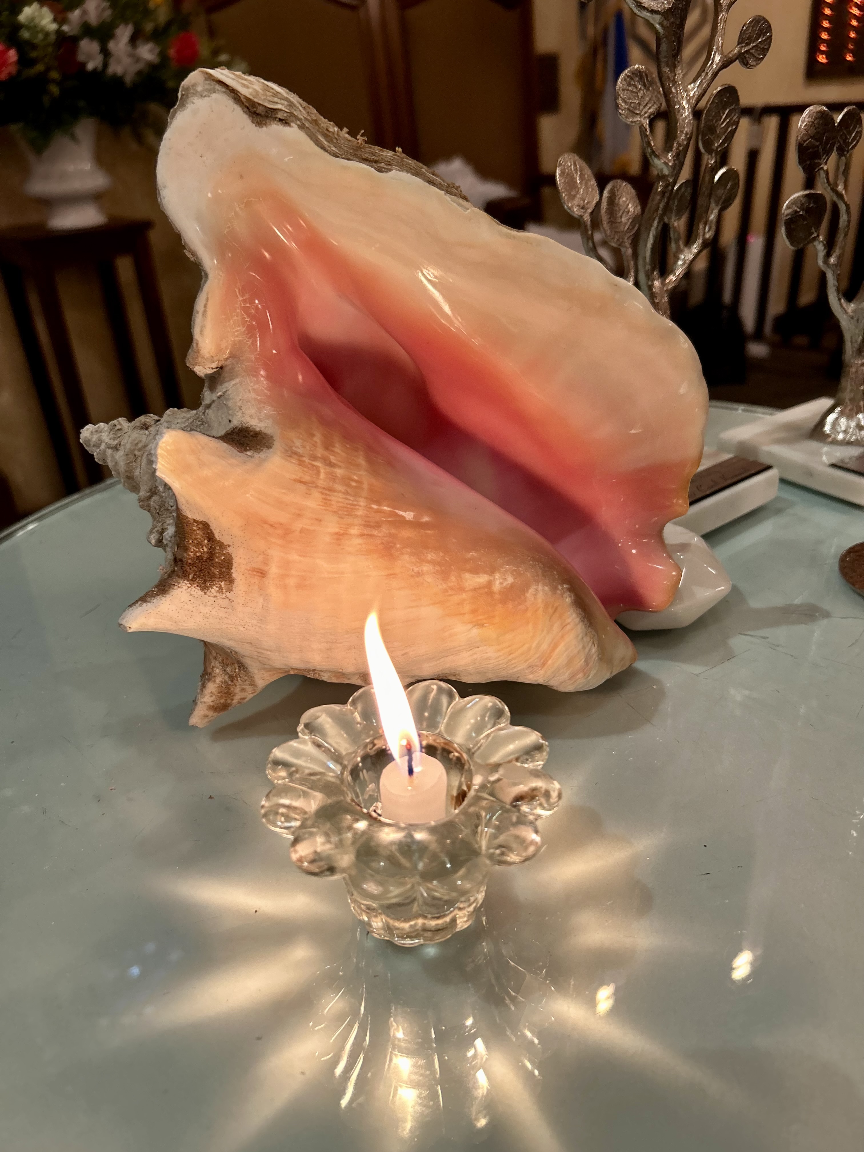 The Torah of the Conch – Finding Ourselves In The Bible